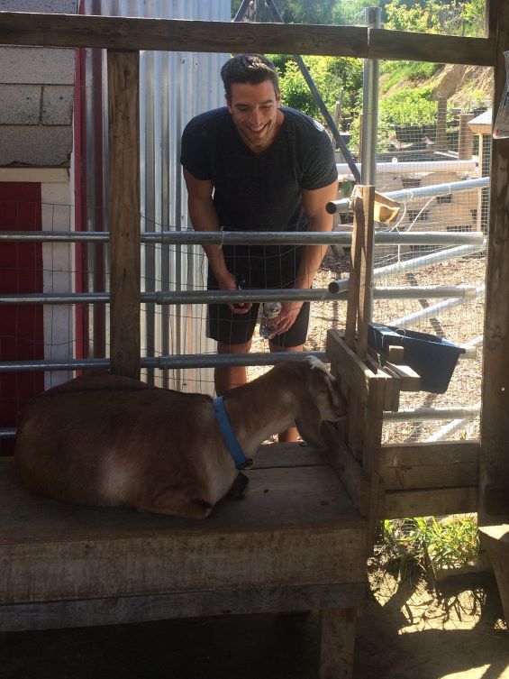 Meet Chad - The Cat Chaddy